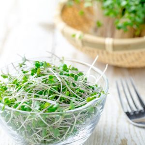 BROTES DE BRÓCOLI - Propiedades, beneficios, usos