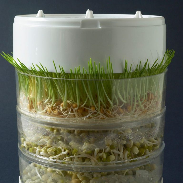 TIPOS DE GERMINADORES